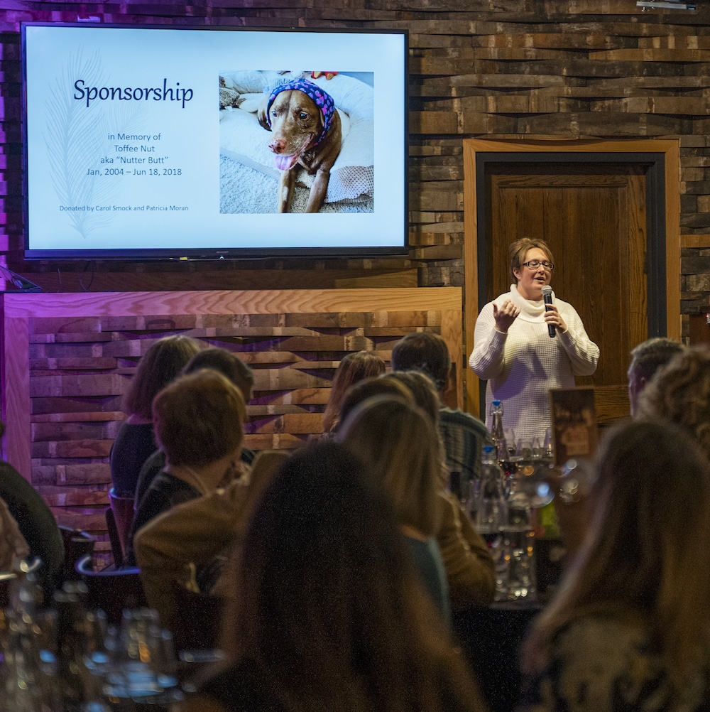 Carol Smock's Instagram, Twitter & Facebook on IDCrawl