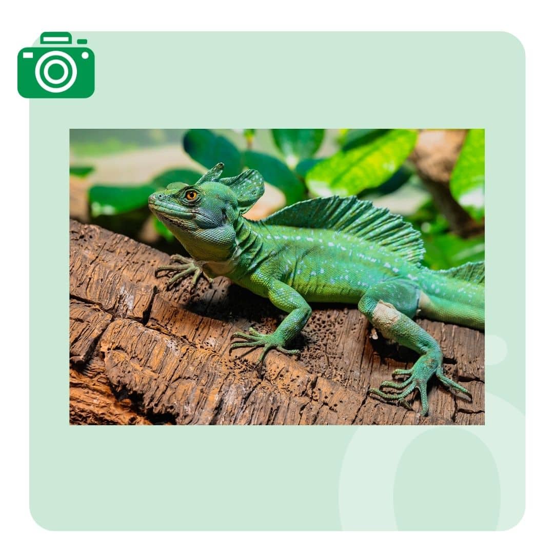 Senior Exhibition Winter 2023: Zach Whitmore | Nossi College of Art and ...