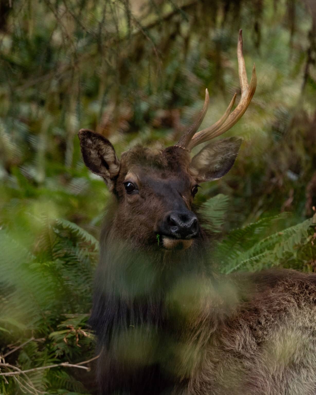 Travel Photography Student Portfolios: M. Bunn, M. Rutherford, M ...