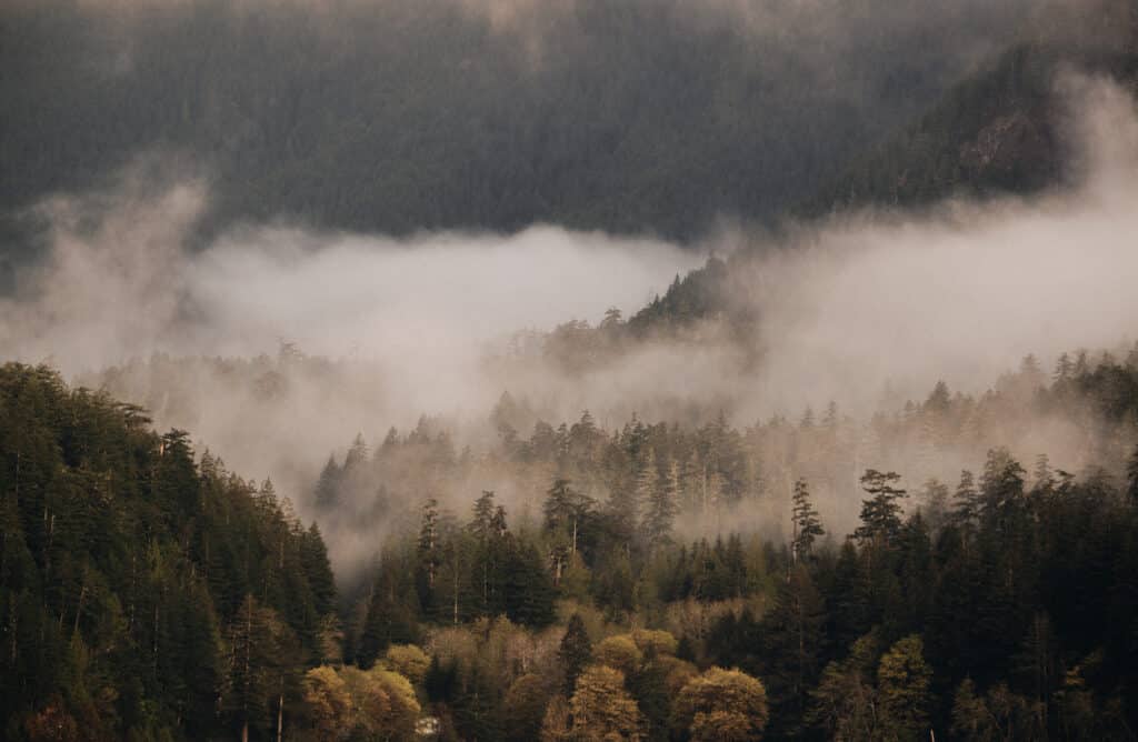 Travel Photography Student Portfolios: C. Medrano, A. Clemons, A. Smith ...