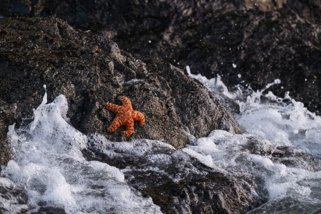 Travel Photography Student Portfolios: C. Medrano, A. Clemons, A. Smith ...